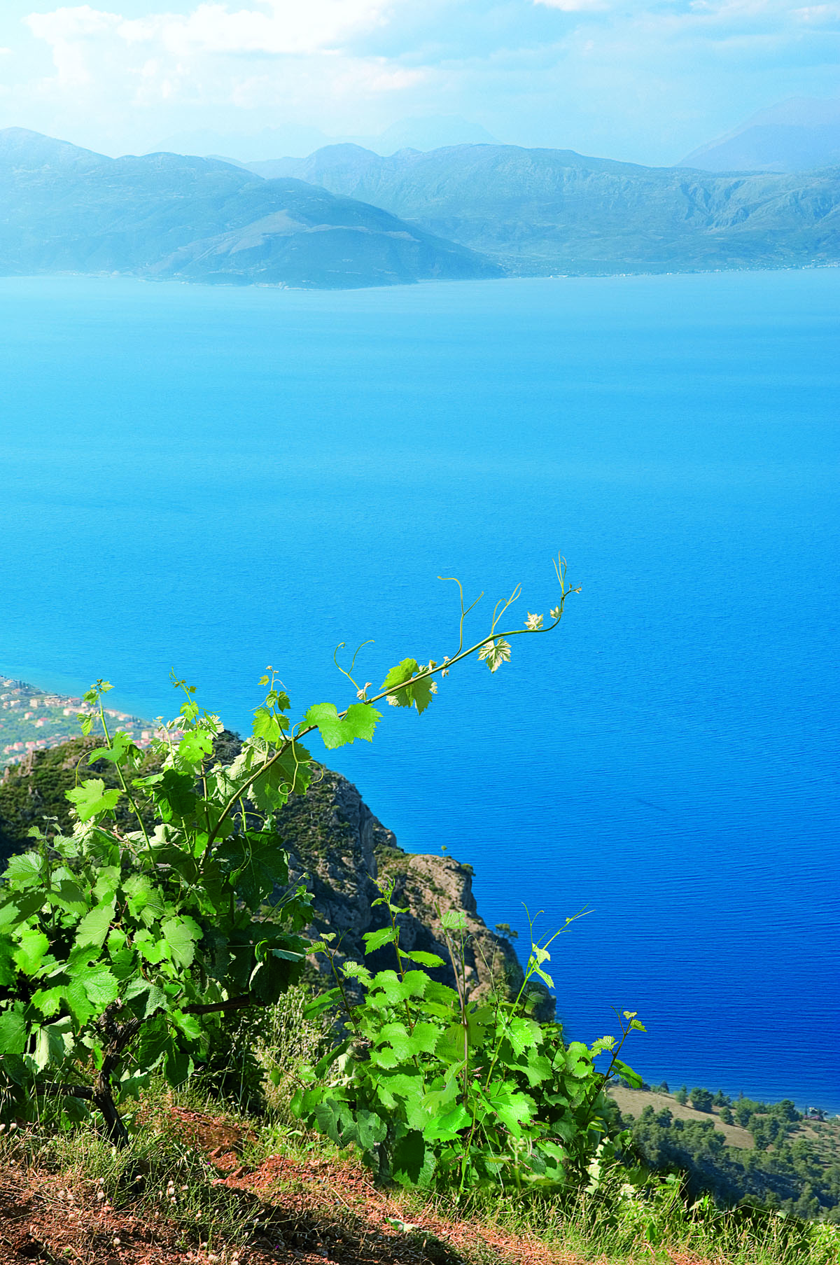 Achaia - Wines of Greece